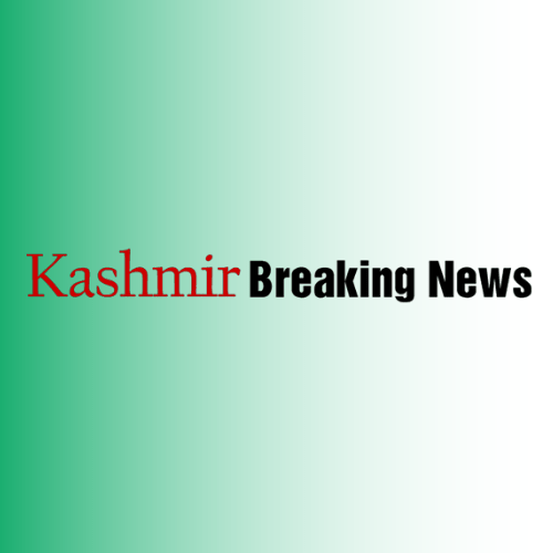 APN SOLAR – India's #1 Solar Company